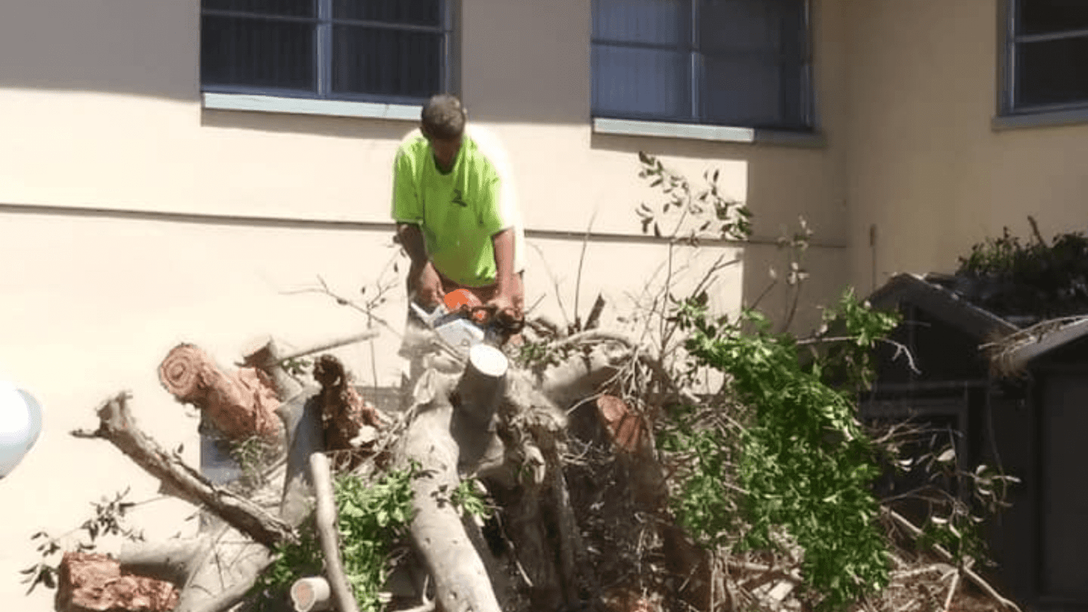 Tree Service in Cocoa, FL | Arbor Masters — Fast & Reliable